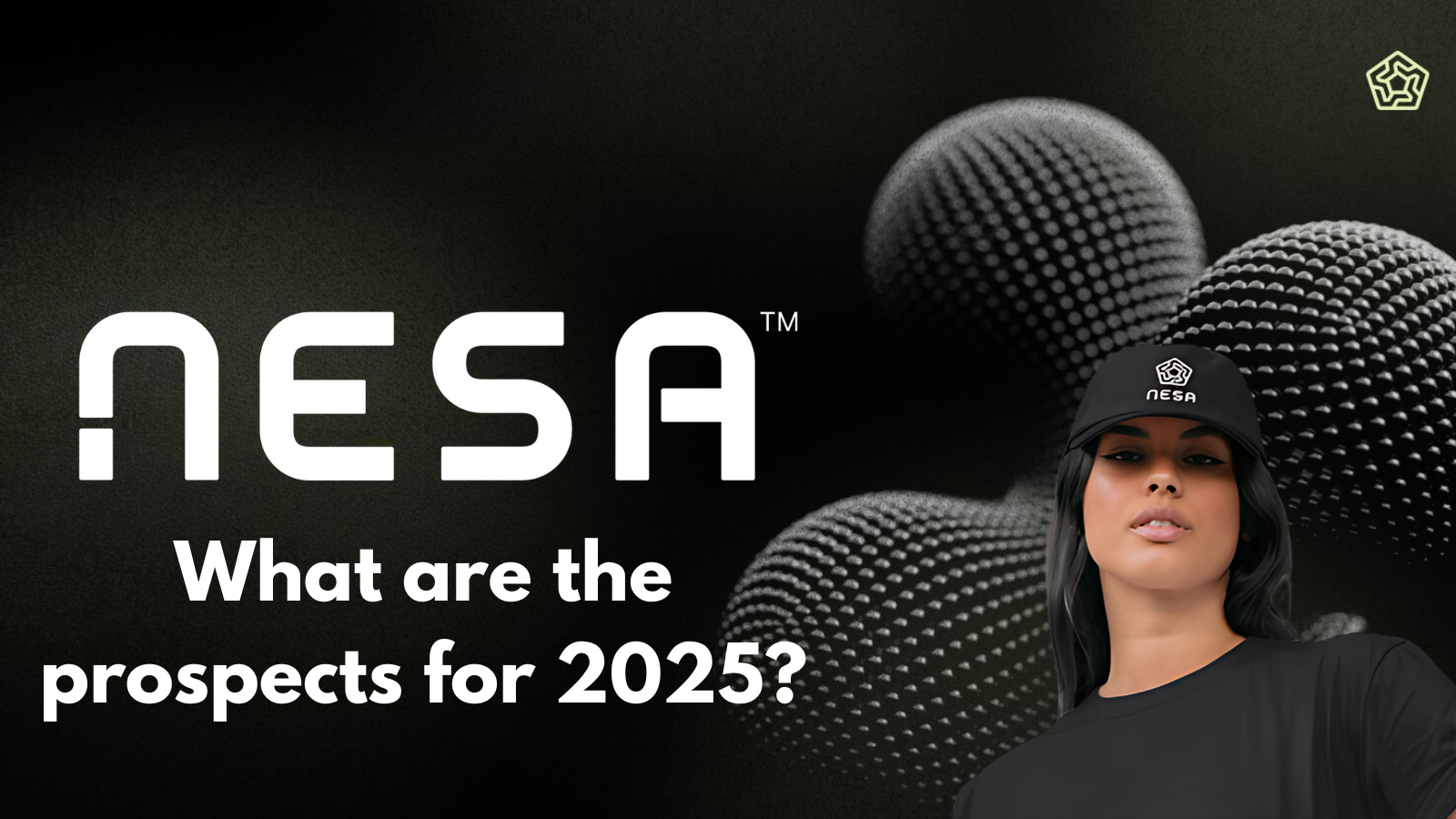Nesa : What are the prospects for 2025?